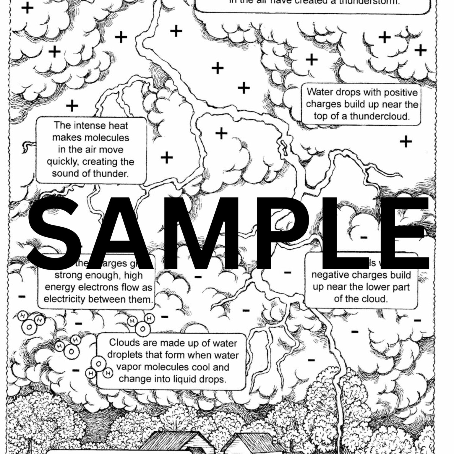 Weather Thunderstorm Graphic Organizer | Made By Teachers