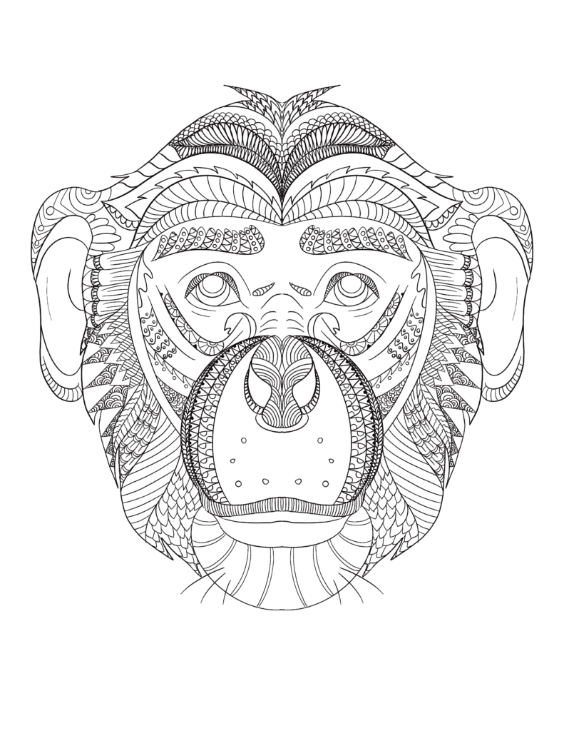 Explore the Animal Kingdom with Mandala Coloring Pages | Made By Teachers