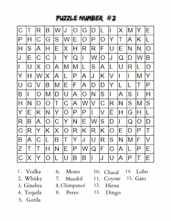 ¡A Buscar! Spanish Word Search: Keep Your Mind Sharp and Have Fun ...