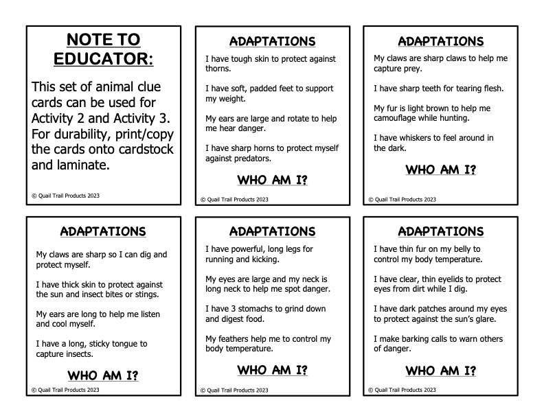Animal Adaptations on the Savanna Activities and Worksheets | Made By ...