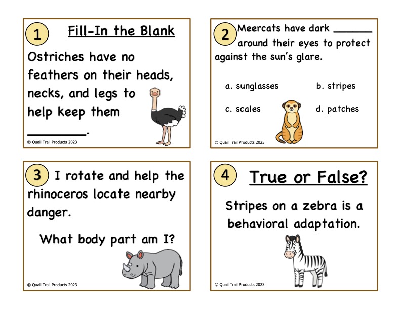 Animal Adaptations on the Savanna Activities and Worksheets | Made By ...