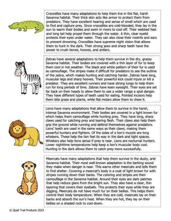 Animal Adaptations on the Savanna Activities and Worksheets | Made By ...