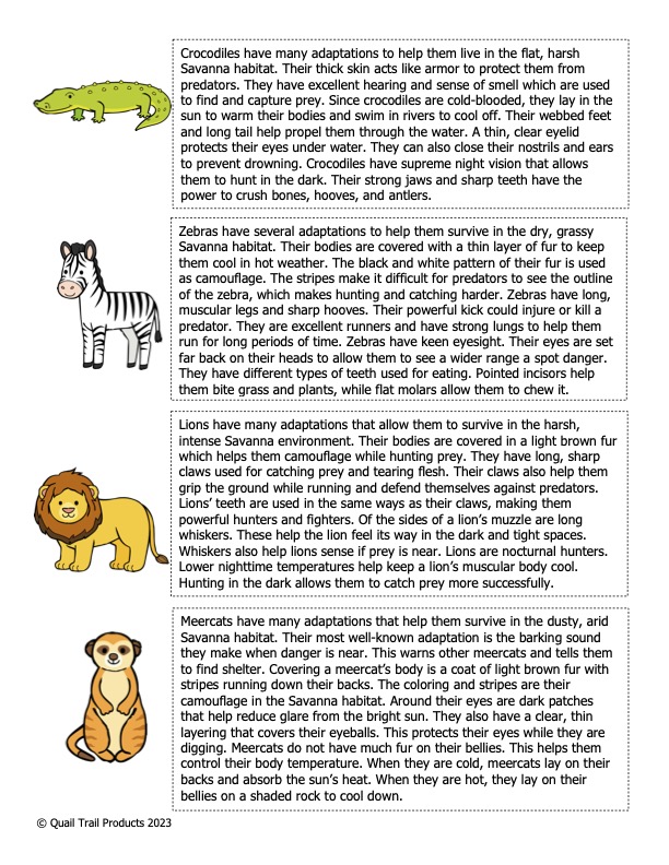 Animal Adaptations on the Savanna Activities and Worksheets | Made By ...
