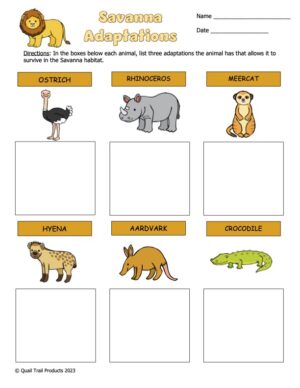 Animal Adaptations on the Savanna Activities and Worksheets | Made By ...