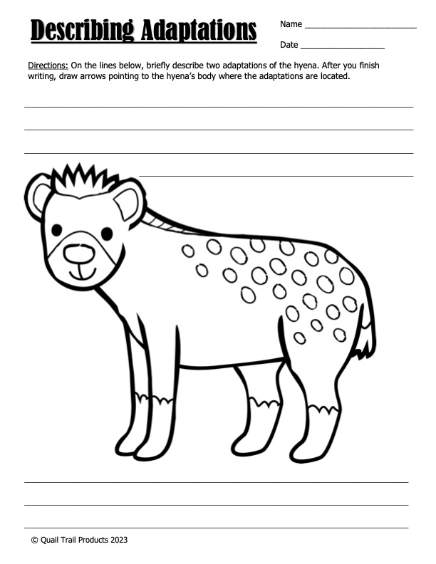 Animal Adaptations on the Savanna Activities and Worksheets | Made By ...