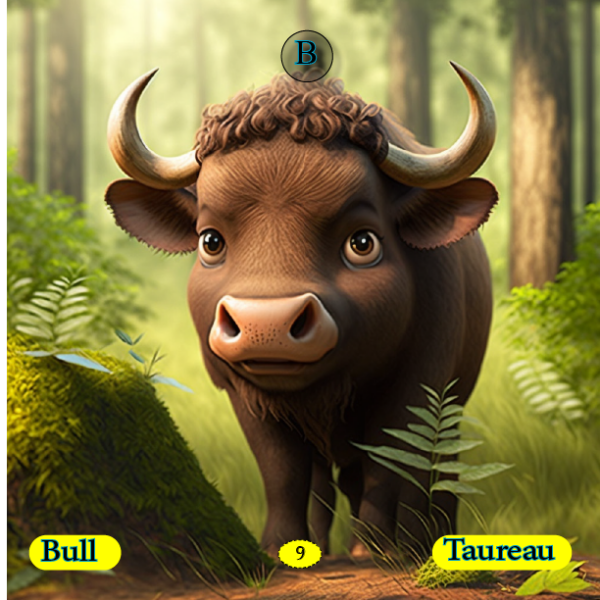 Bilingual English/French 107 Farm, Ocean & Zoo Animals Flashcards Have ...