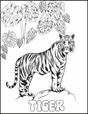 SAFARI Animals Coloring Pages-Wildlife & Jungle Animals Coloring Sheets ...