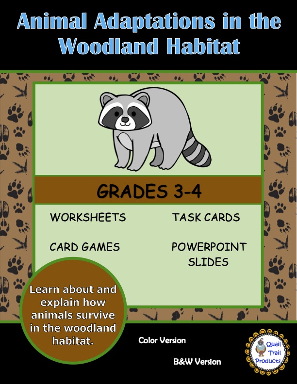 Animal Adaptation Worksheet