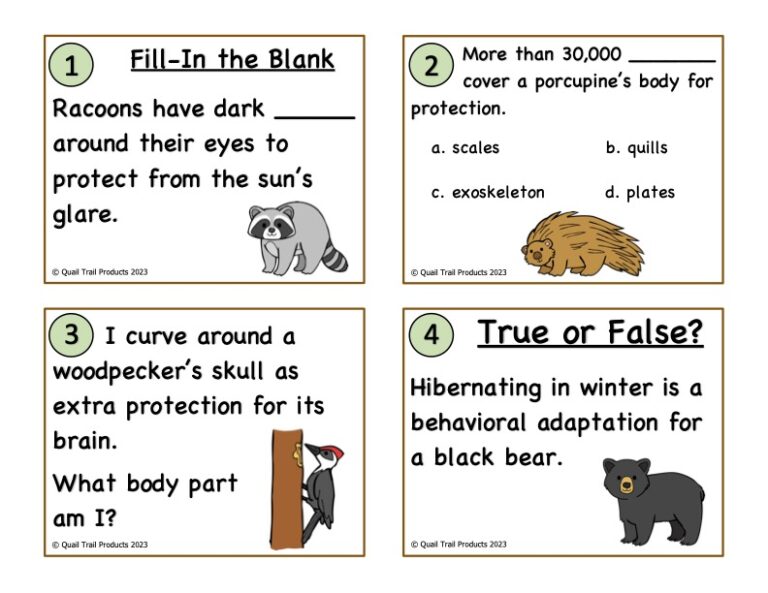 Animal Adaptations in the Woodland Habitat Activities and Worksheets ...