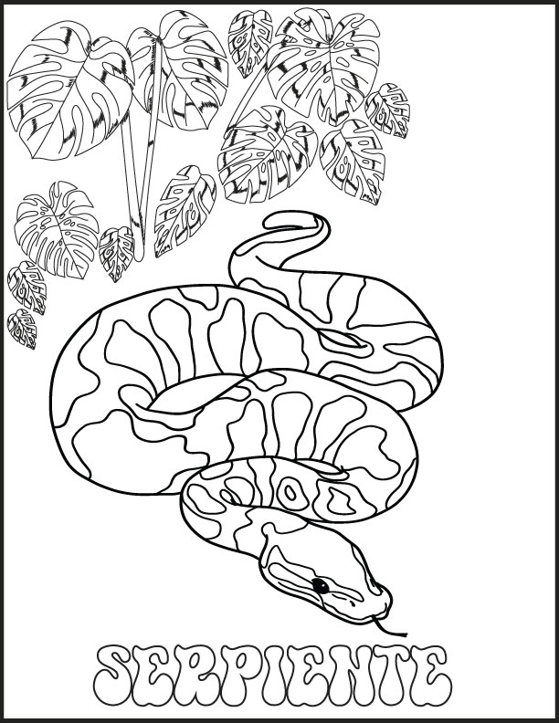 Safari Selva Animales Hojas para colorear|Safari Jungle Coloring Pages ...