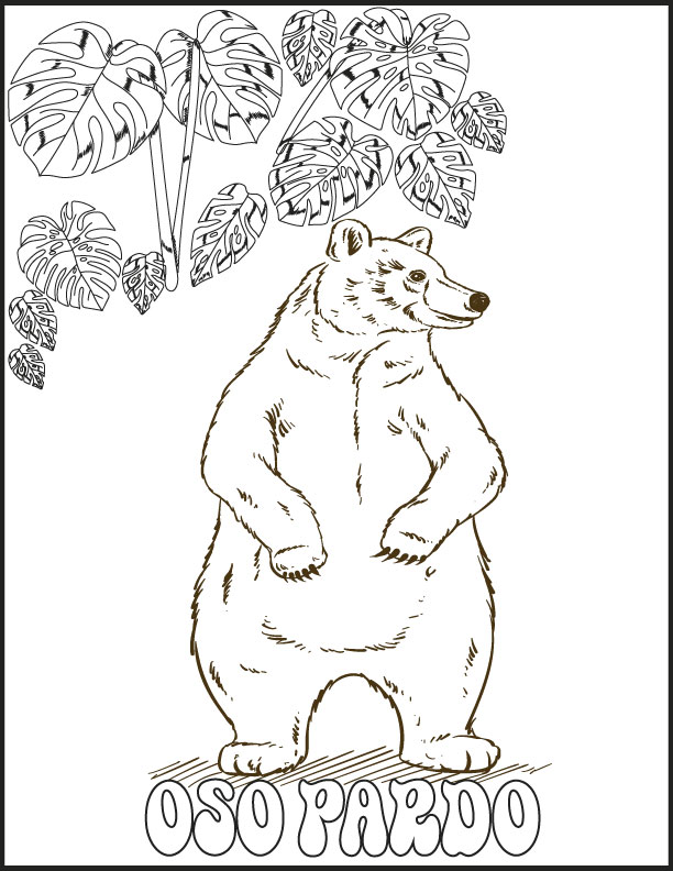 Safari Selva Animales Hojas para colorear|Safari Jungle Coloring Pages ...