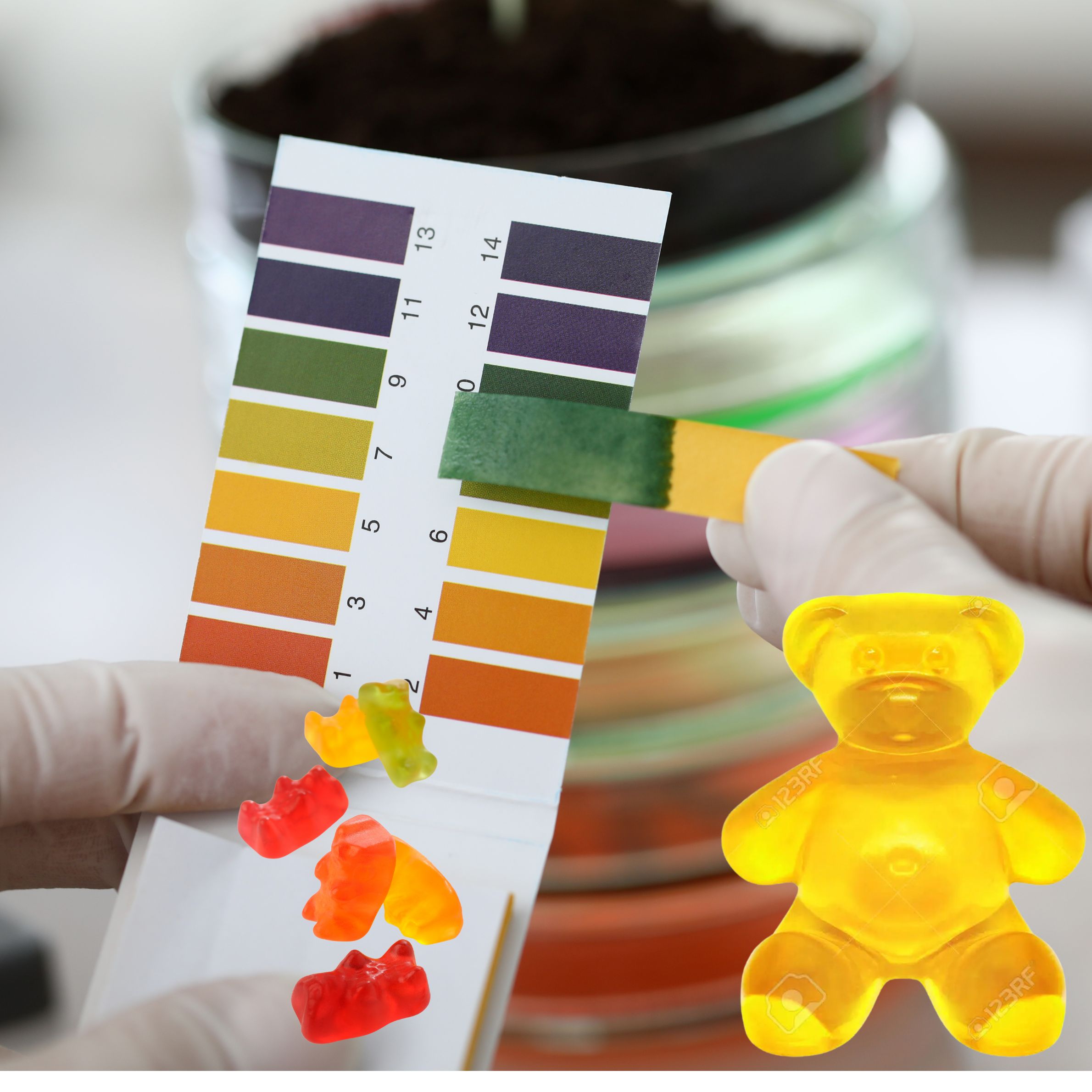 Chemistry pH Candy Labs and Guided Reading High School Science | Made ...