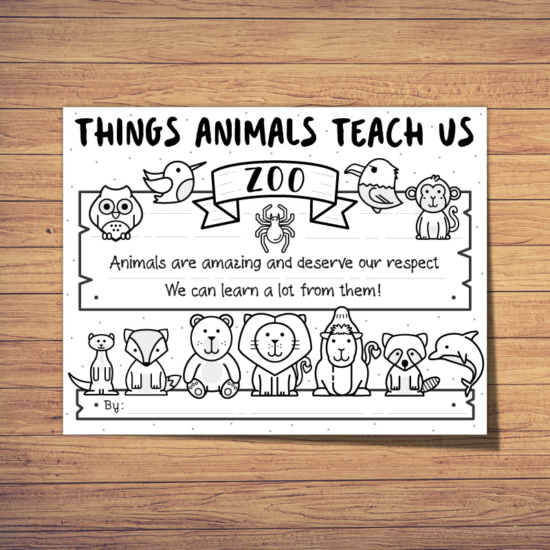The Zoo | Things Animals Teach Us | Made By Teachers