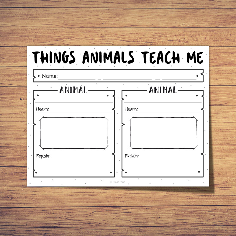 The Zoo | Things Animals Teach Us | Made By Teachers