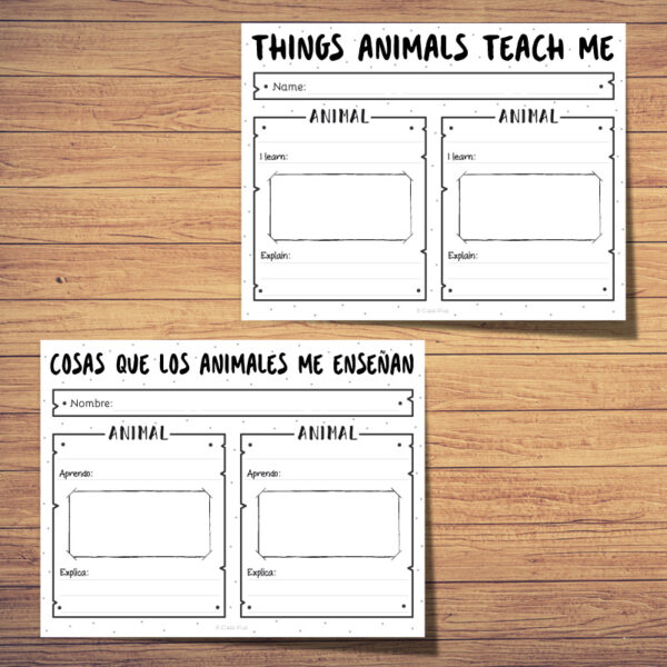 The Zoo | Things Animals Teach Us BUNDLE | Made By Teachers