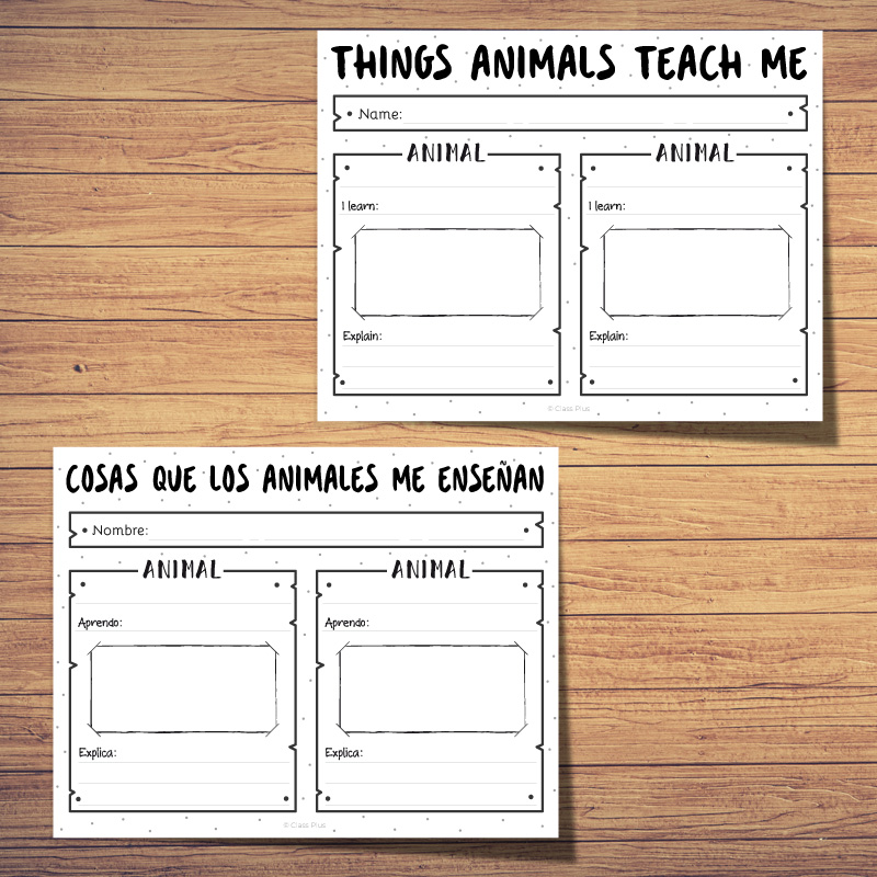 The Zoo | Things Animals Teach Us BUNDLE | Made By Teachers