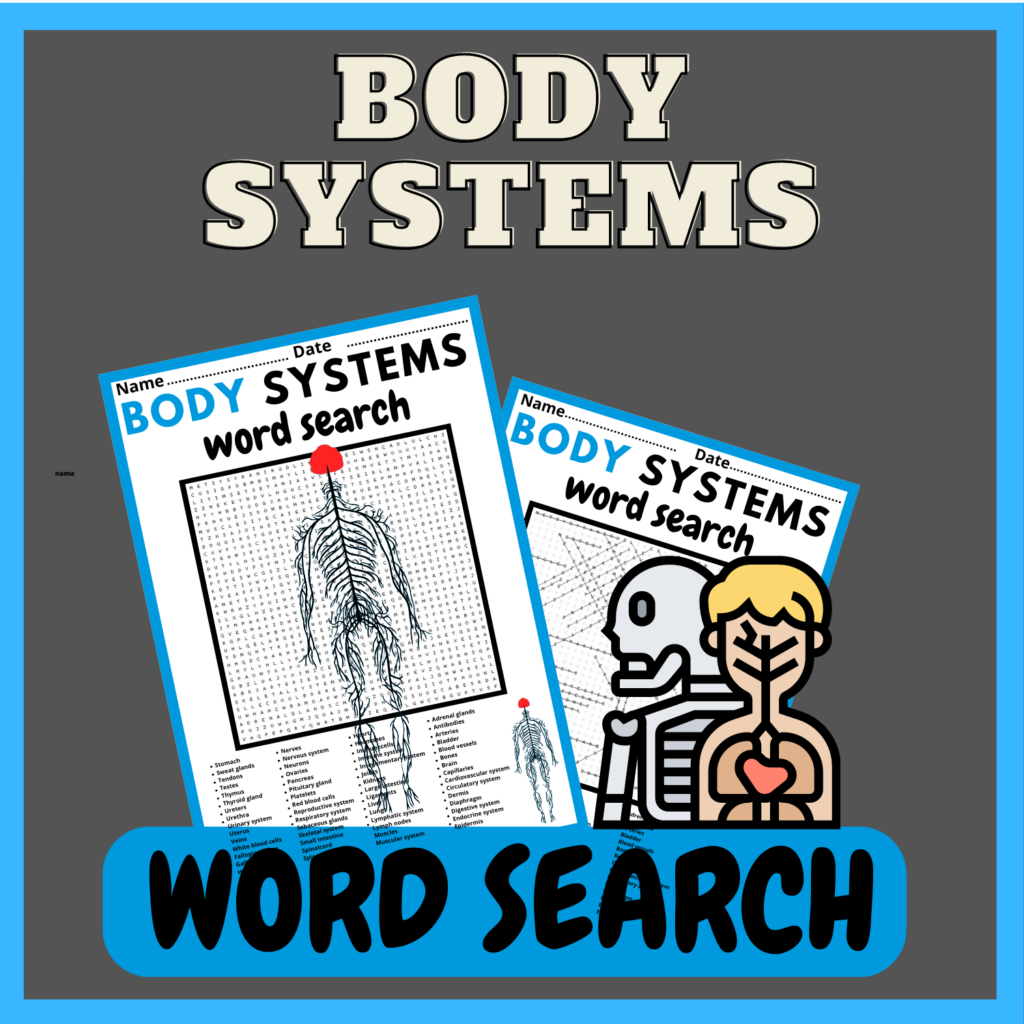 BODY SYSTEMS WORD SEARCH Puzzle Middle School Fun Activity Vocabulary body-systems-word-search-puzzle-middle-school-fun-activity-vocabulary