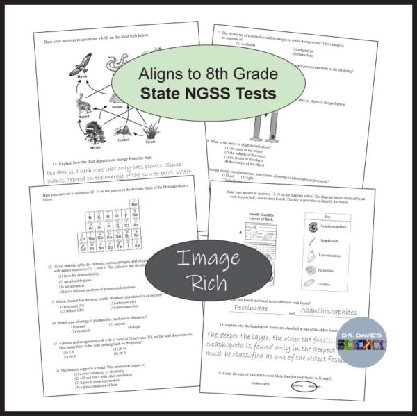 8th Grade Science Test Prep NGSS Independent Work and Practice Tests ...