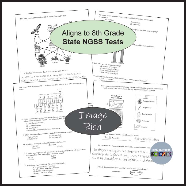 8th Grade Science Test Prep NGSS Independent Work and Practice Tests ...