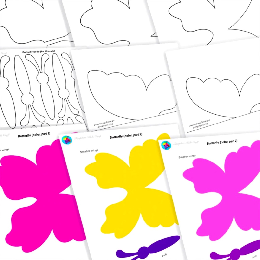 3D Butterfly Craft Spring Summer Bug Insect Bulletin Board Decor Build ...