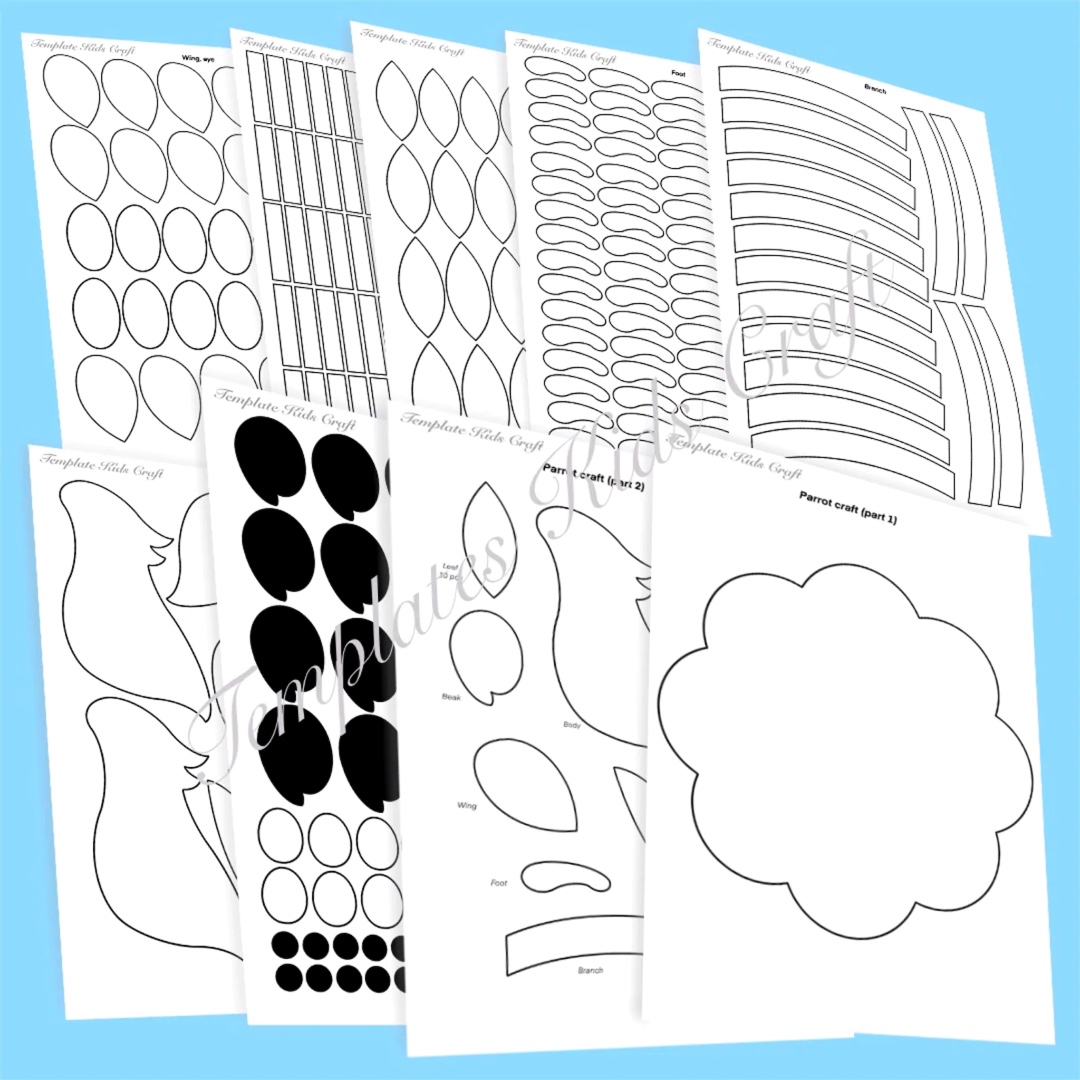 Parrot Craft Summer Jungle Zoo Animal Bird Activities Bulletin Board ...