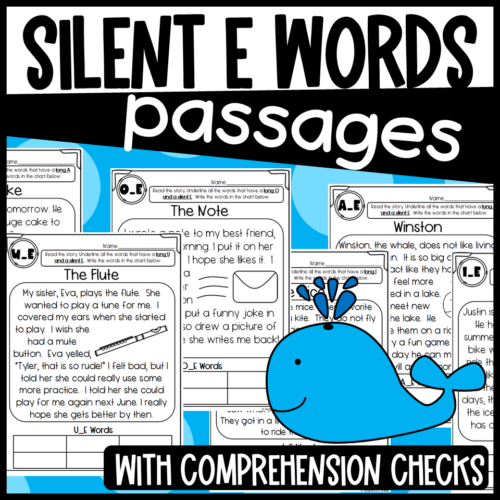 Silent E Passages | Made By Teachers