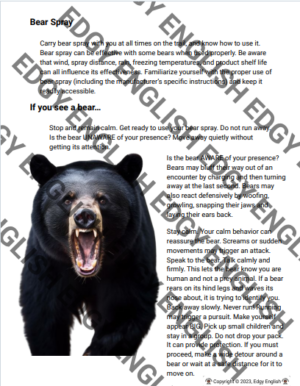 Camping & Survival in the Wild (ESL Bundle) | Made By Teachers