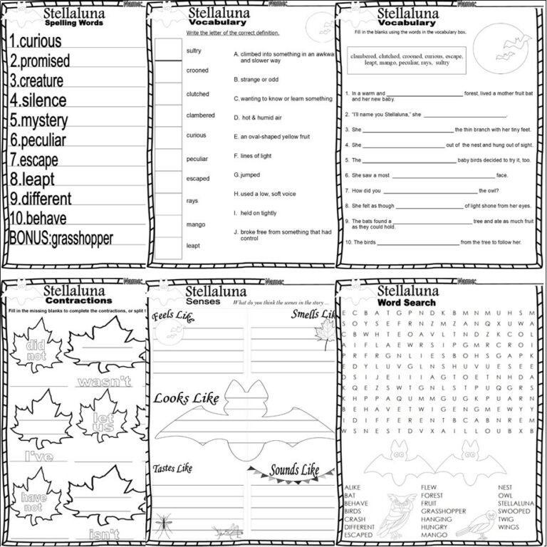 Stellaluna Book Companion Reading Comprehension | Made By Teachers