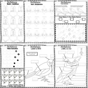 Stellaluna Book Companion Reading Comprehension | Made By Teachers