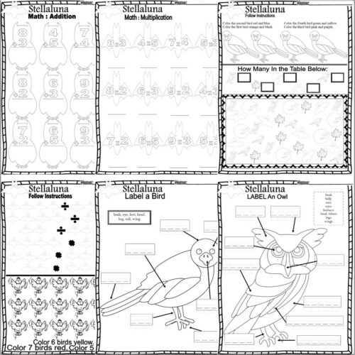 Stellaluna Book Companion Reading Comprehension | Made By Teachers