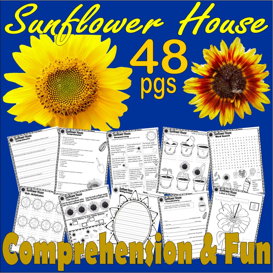 Sunflower Plant Life Cycle Comprehension | Best Flower Site