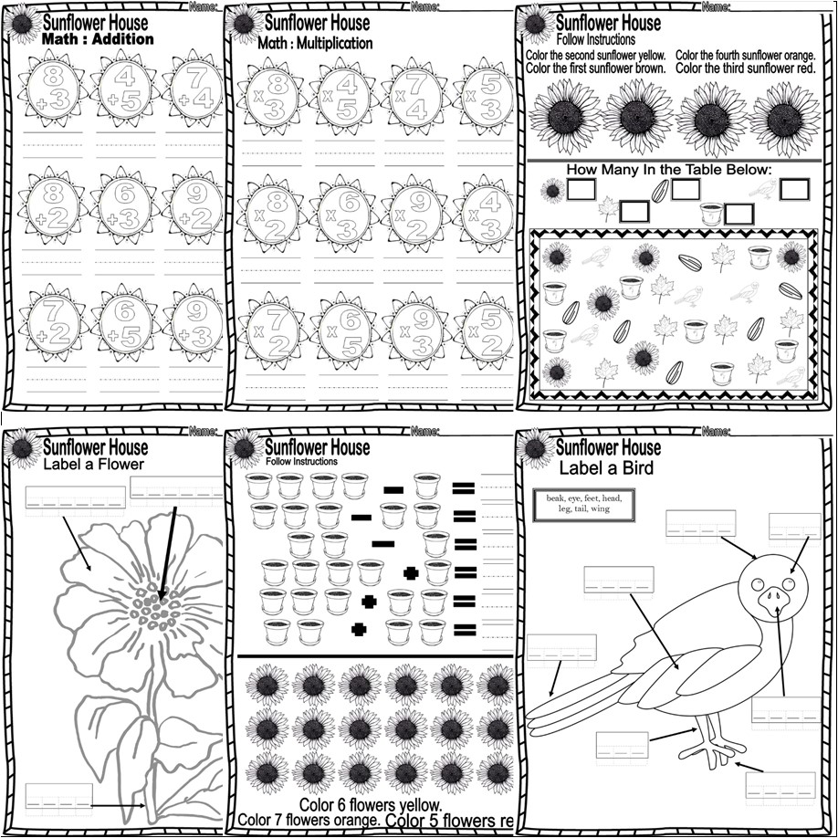 Sunflower House Book Study Companion Reading Comprehension Worksheets ...