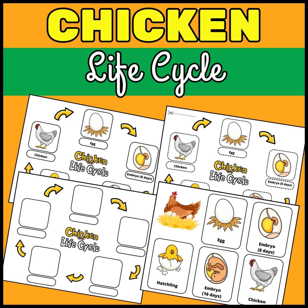 Farm Animals Activity Bundle - Coloring Pages, Flashcards, Worksheets ...