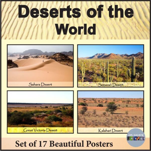 Deserts Posters Habitat Land Biomes | Made By Teachers