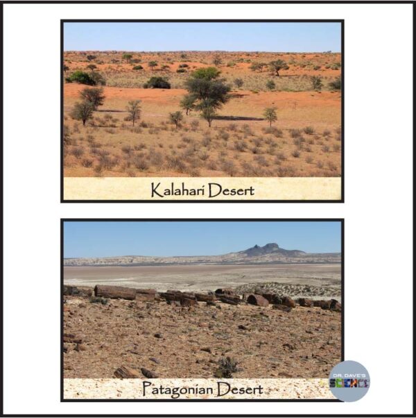 Deserts Posters Habitat Land Biomes | Made By Teachers