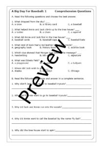Magic Tree House #29 "A Big Day for Baseball" worksheets | Made By Teachers