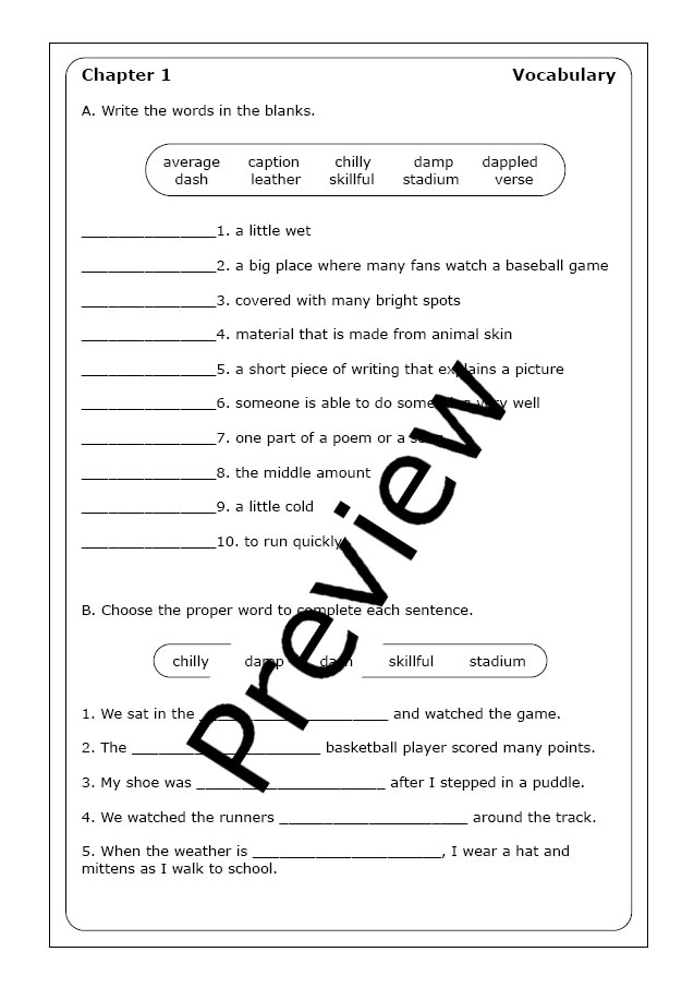 Magic Tree House #29 "A Big Day for Baseball" worksheets | Made By Teachers