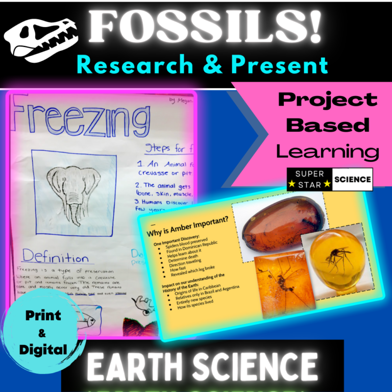 Fossil Project Earth Science STEM Research Poster & Presentation ...