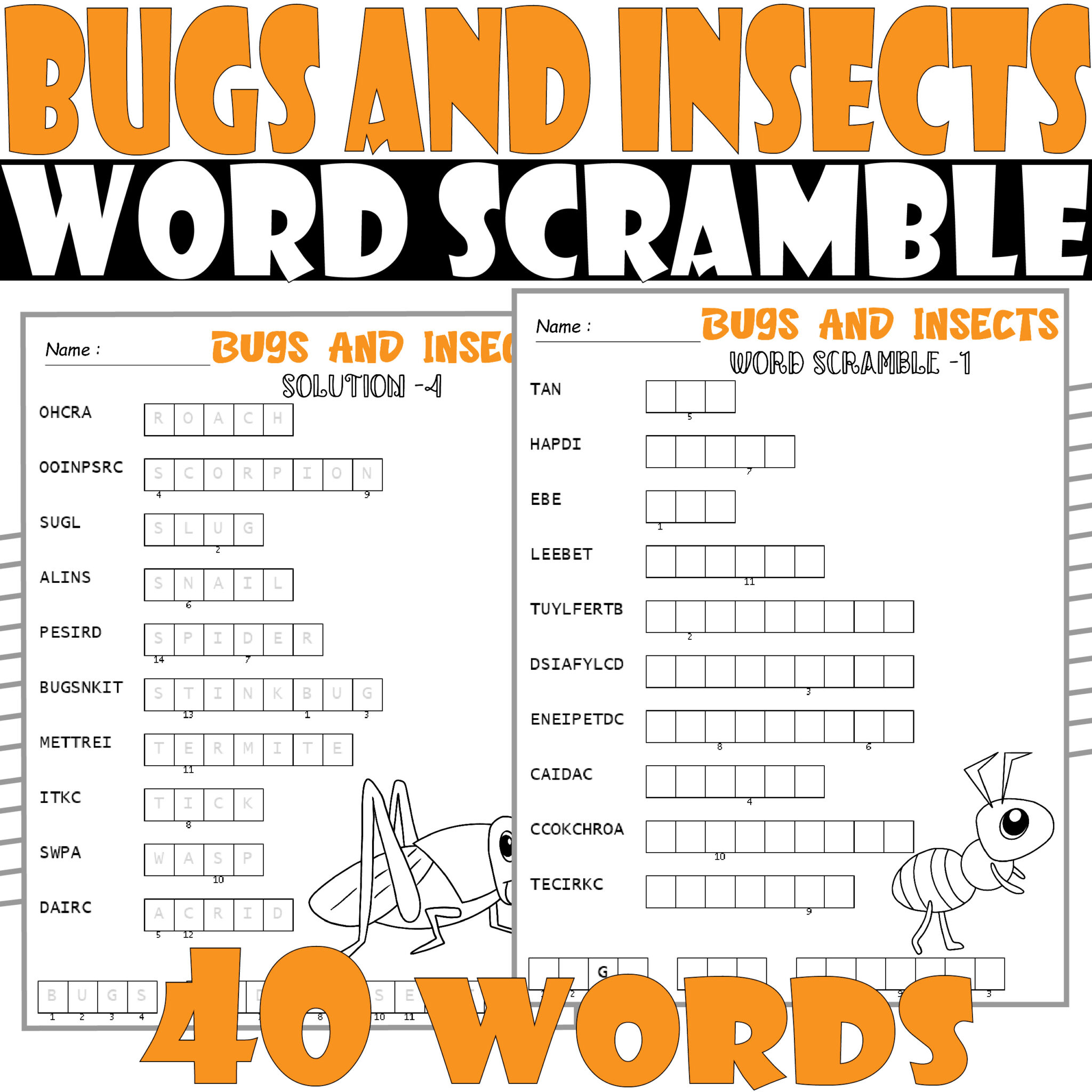BUGS AND INSECTS Word Scramble Puzzle and Coloring , BUGS AND INSECTS ...