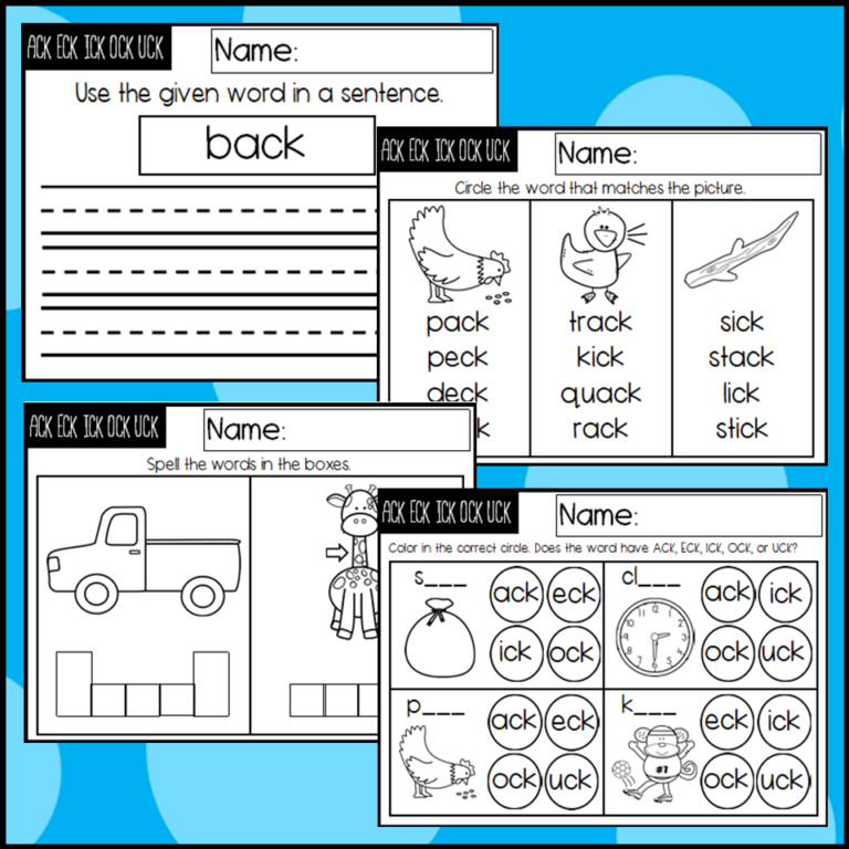 ACK ECK ICK OCK and UCK Word Family Assessment: Exit Slips | Made By ...