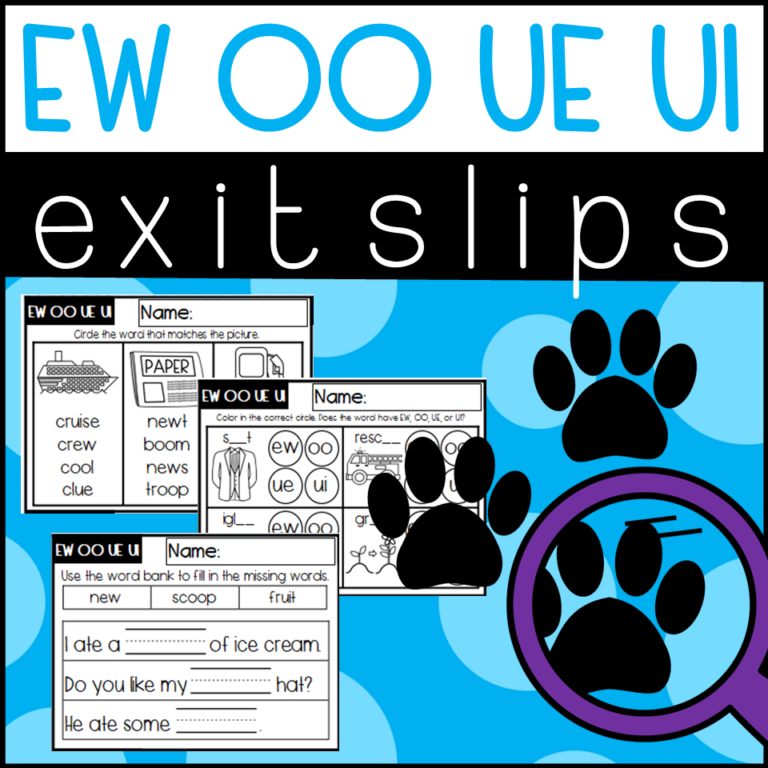 Long Vowel Silent E Words Exit Slips | Made By Teachers