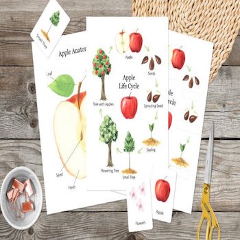 learnSmart | Made By Teachers