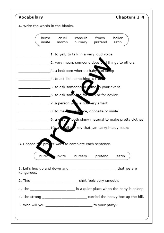 Barbara Park "Junie B. Jones and That Meanie Jim's Birthday" worksheets ...