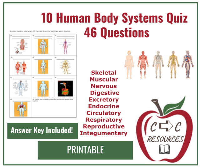 Human Body Systems Quiz With ANSWER KEY Made By Teachers
