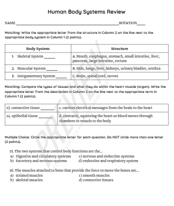 Human Body Systems Quiz with ANSWER KEY | Made By Teachers