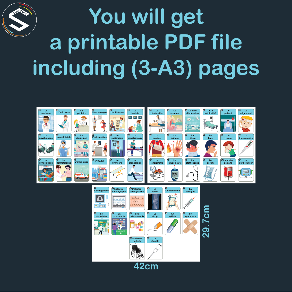 FRENCH Health Vocabulary Flashcards | vocabulaire de la santé (9x6cm ...