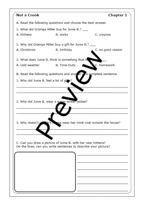 Barbara Park "Junie B. Jones Is Not a Crook" worksheets | Made By Teachers