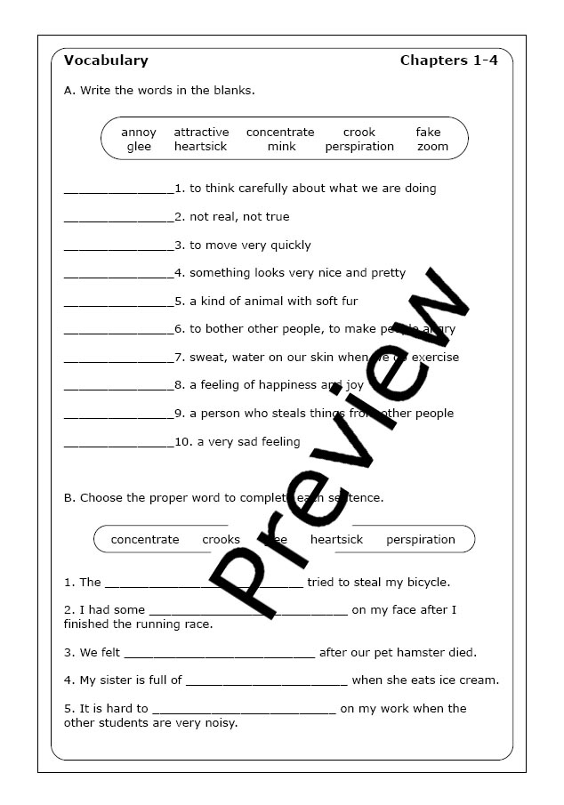 Barbara Park "Junie B. Jones Is Not a Crook" worksheets | Made By Teachers