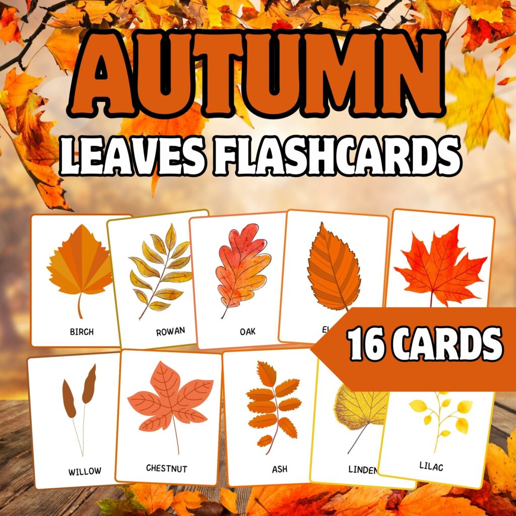 Fall Themed Flashcards Bundle | Made By Teachers