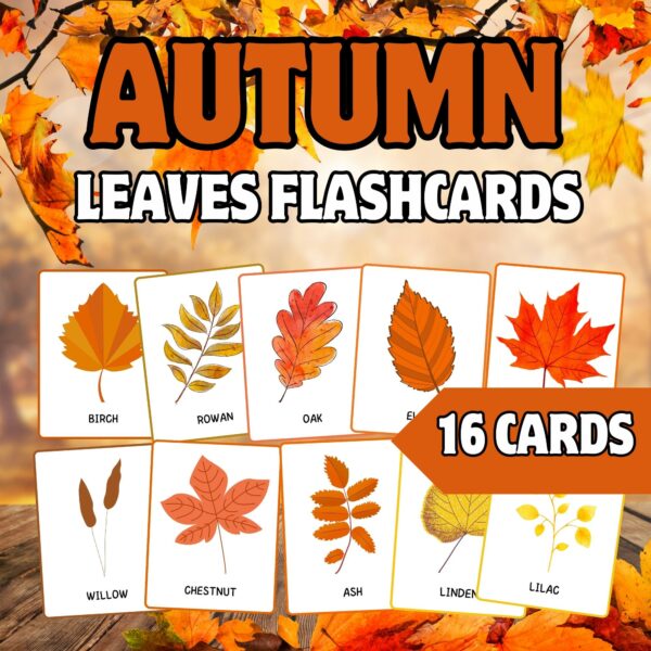 fall | Made By Teachers